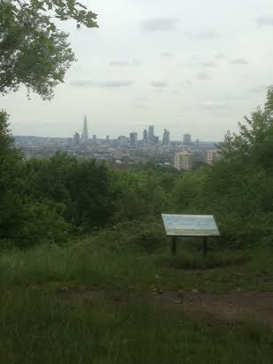 One Tree Hill: a natural vantage point for London's skyline - beautiful ...