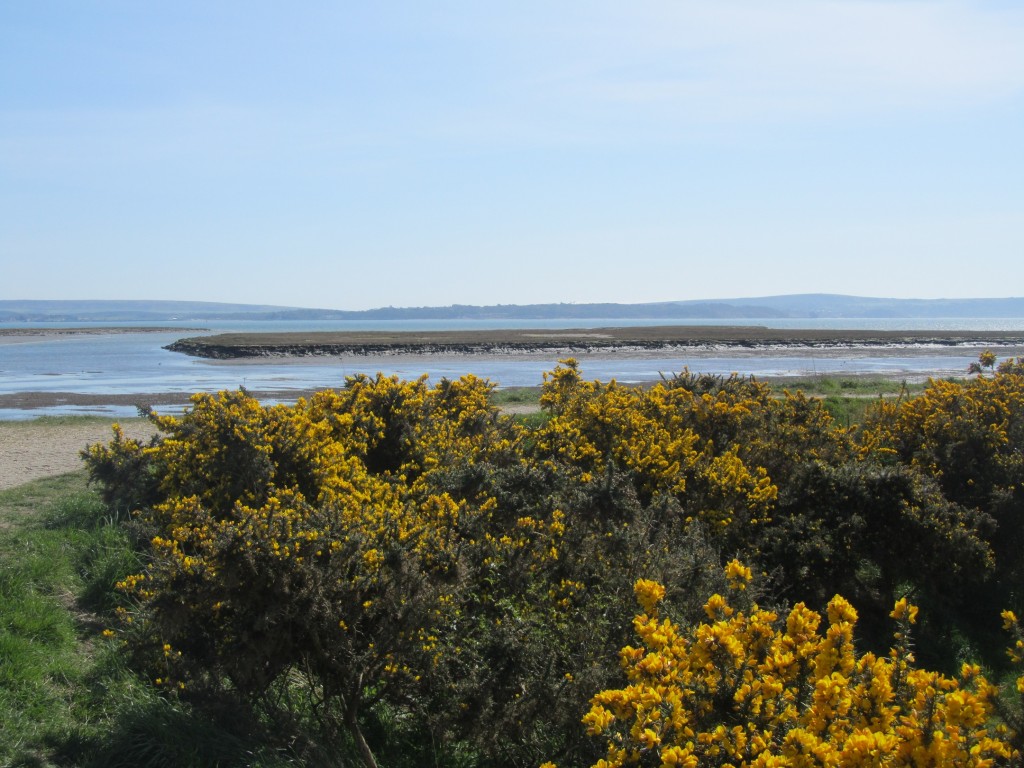The first section of the Solent Way - Milford on Sea to Lymington ...
