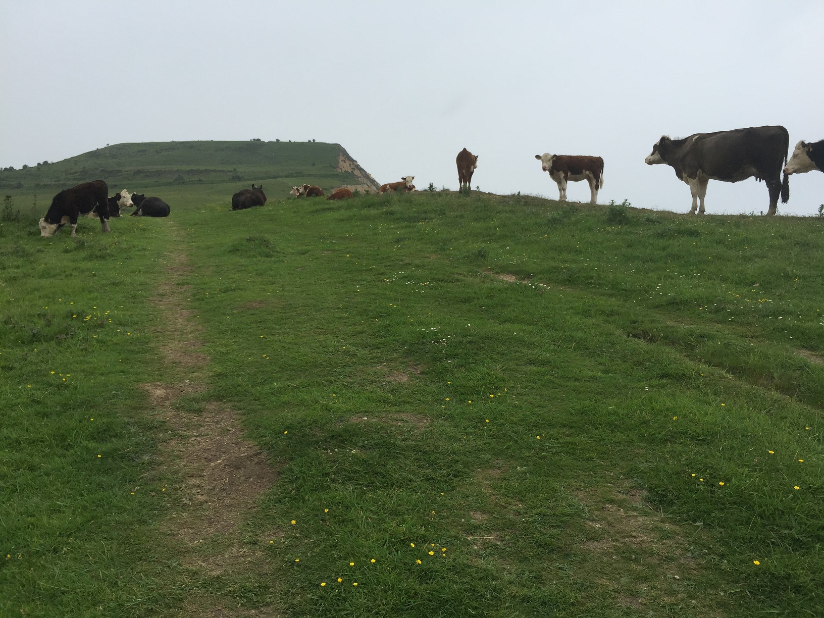 Golden Cap - a circular walk from Stonebarrow Hill - beautiful journeys