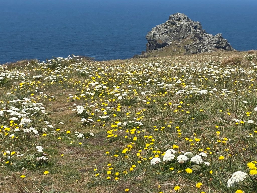 Highlights of West Penwith - beautiful journeys