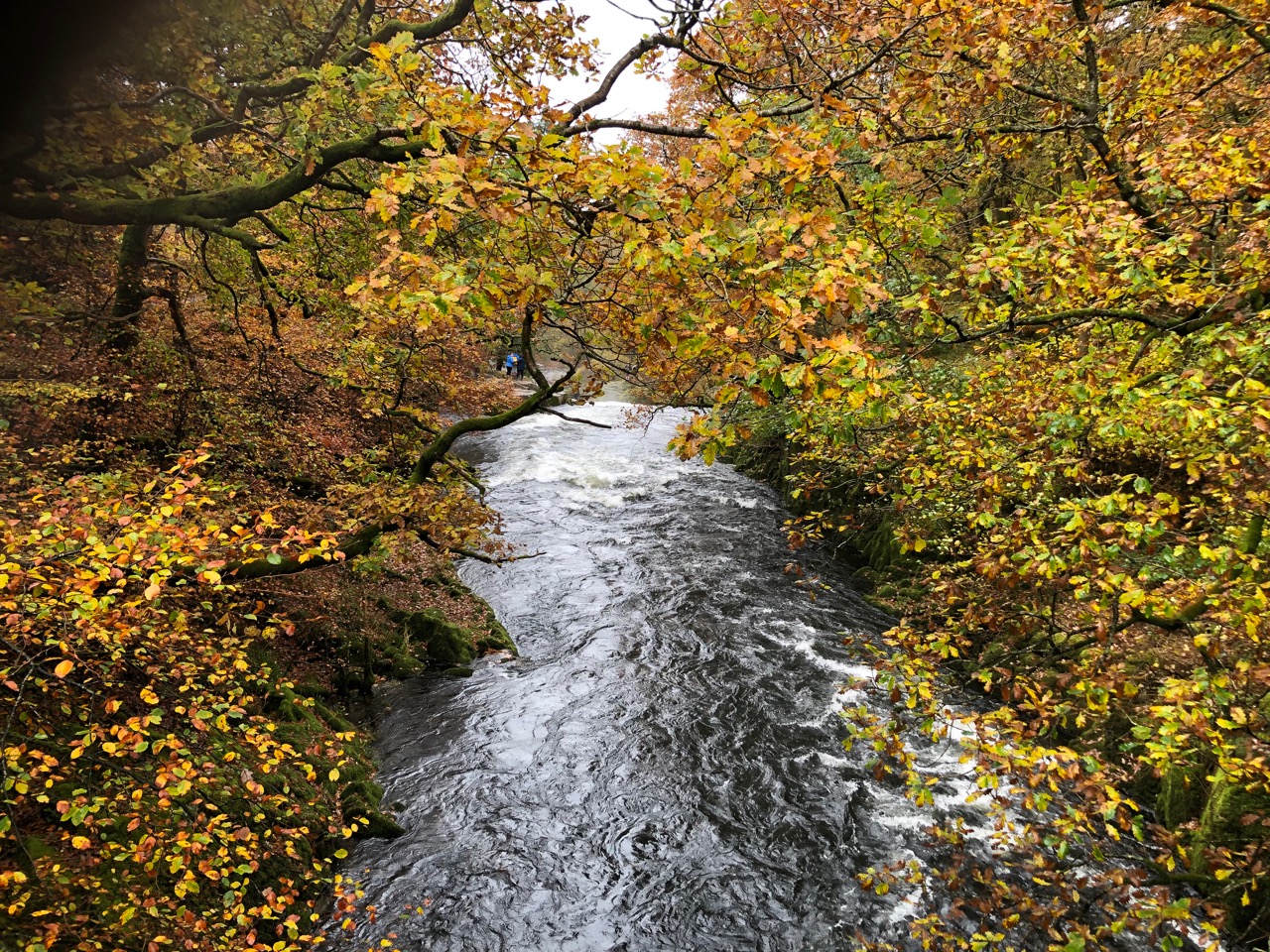 Autumn colour in the Lake District - beautiful journeys