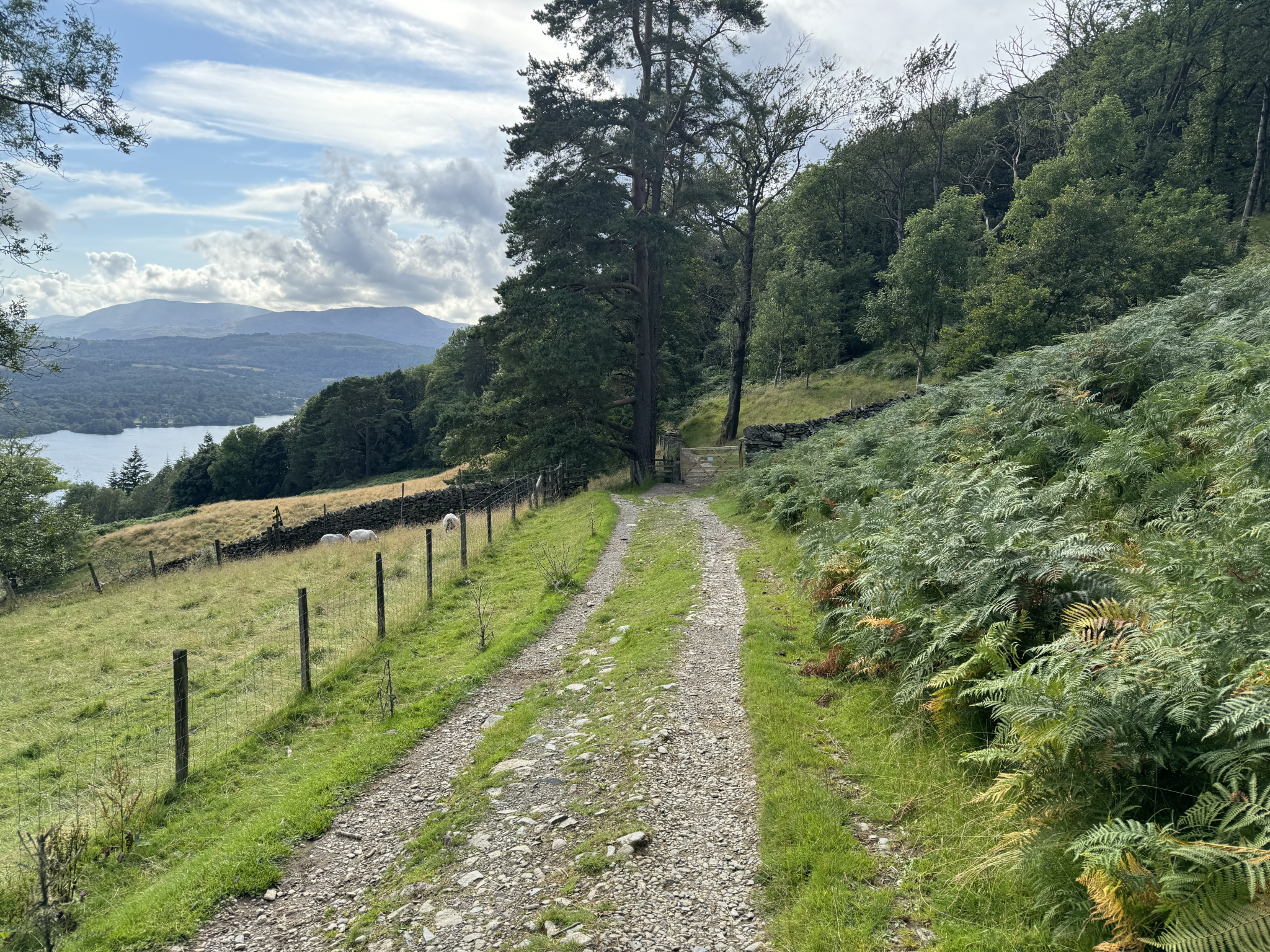 Two day walks from Windermere train station - beautiful journeys